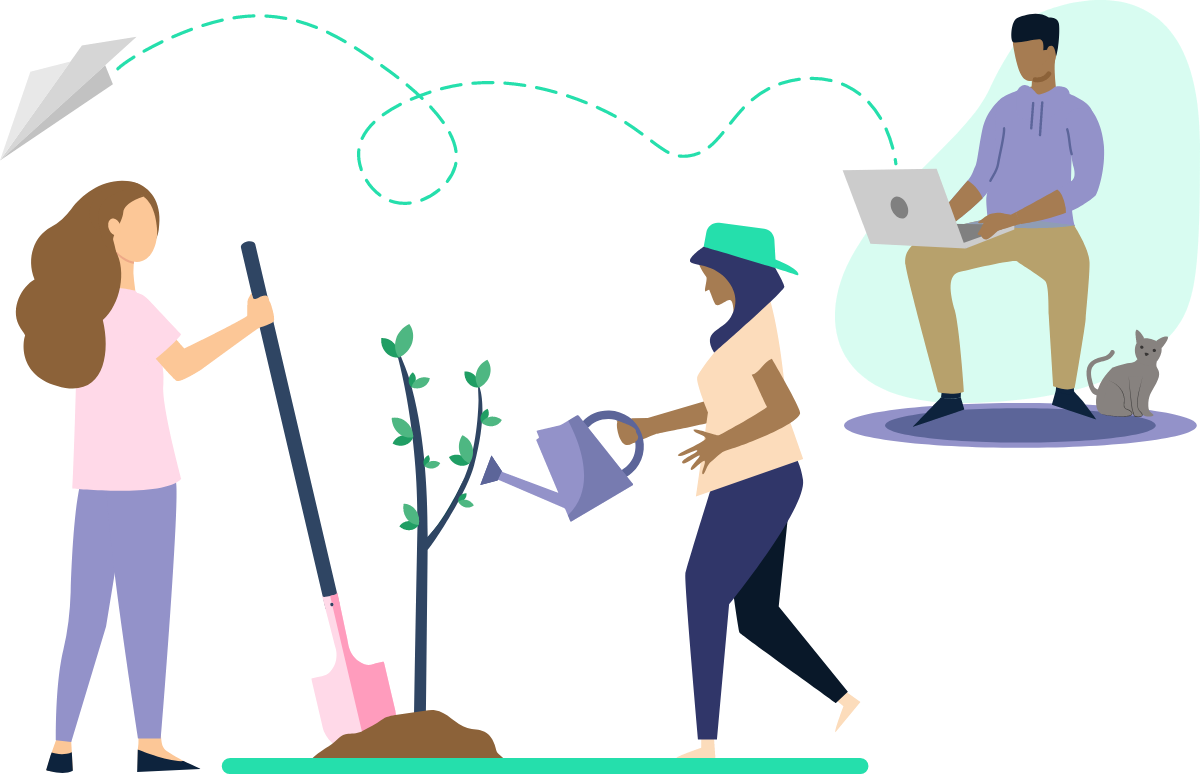 Data quality solutions | Allies Computing